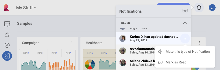 Notifications Center - Infragistics Reveal™ Help